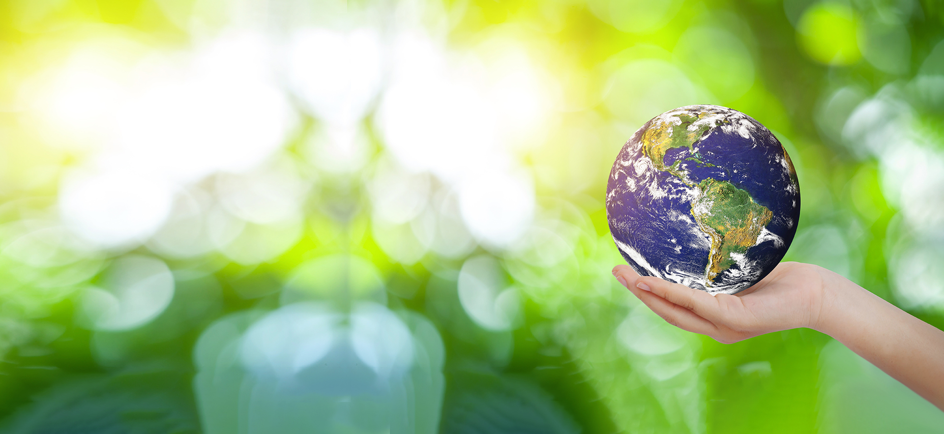 Health, Safety and Environmental Policy | Trinity Consultants