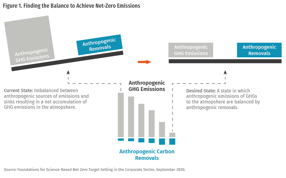 Navigating Net-Zero Commitments Navigating Net-Zero Commitments