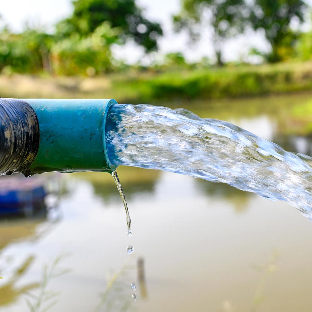 Subscribe for the latest news & information