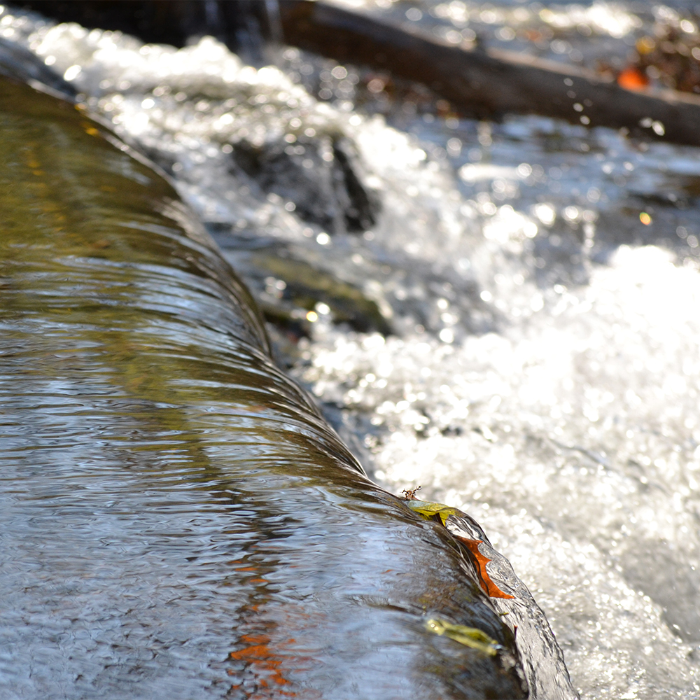 301 Moved Permanently