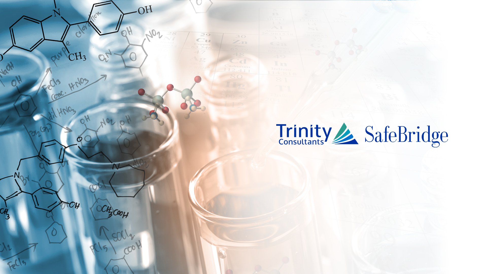 SafeBridge Consultants | Trinity Consultants